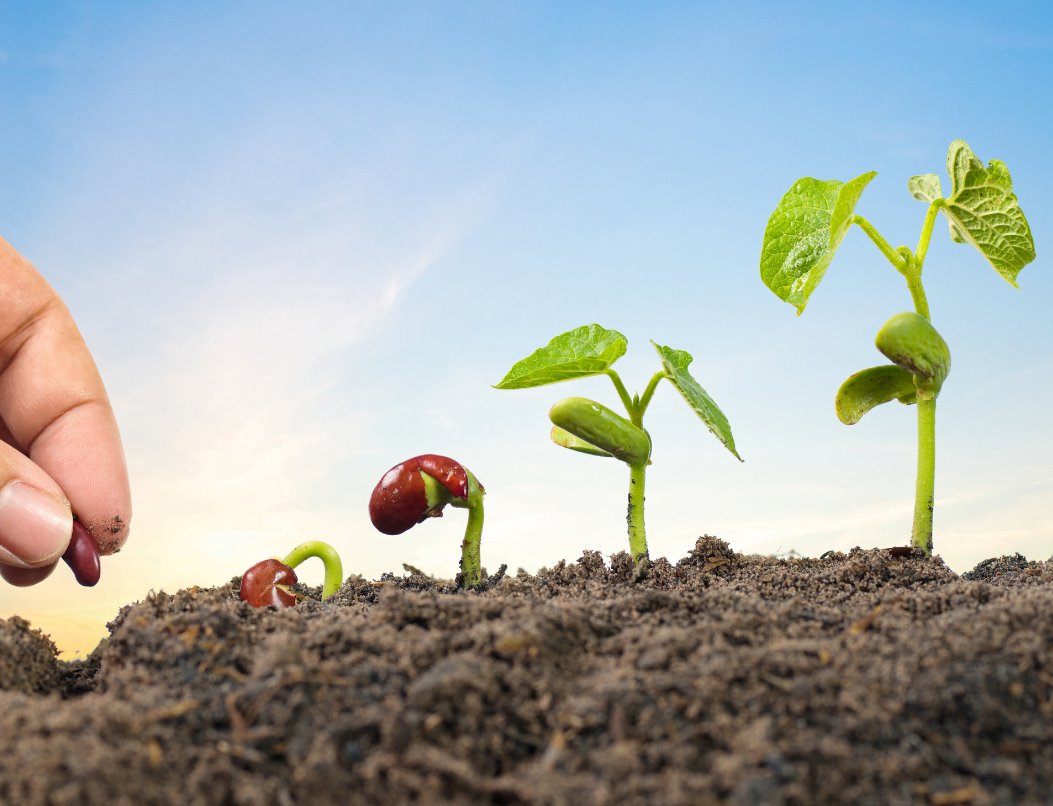 How to Plant Seeds to Grow the Fruit of the Spirit